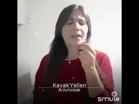Kavak yelleri nilüfer