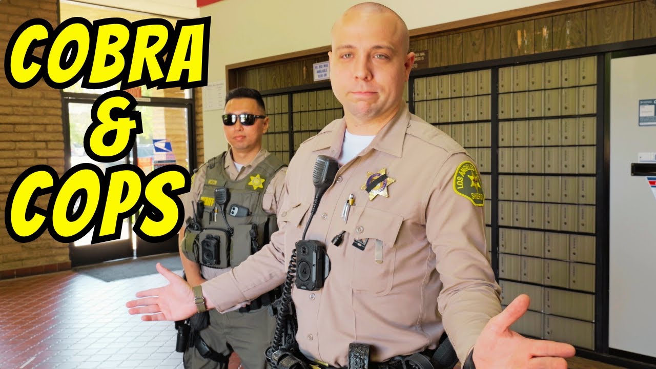Cobra and the Cops - First Amendment Audit - YouTube