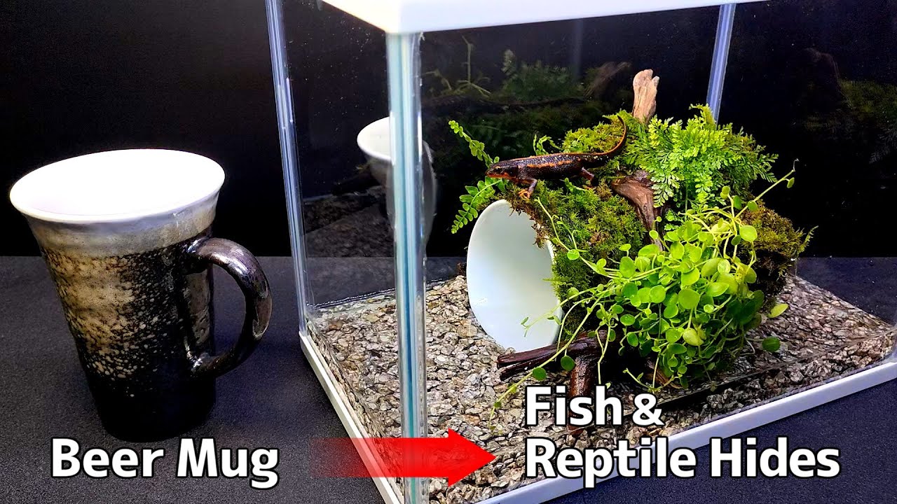 How to make a Fish and Reptile Hides (Shelter)| Aquarium ...