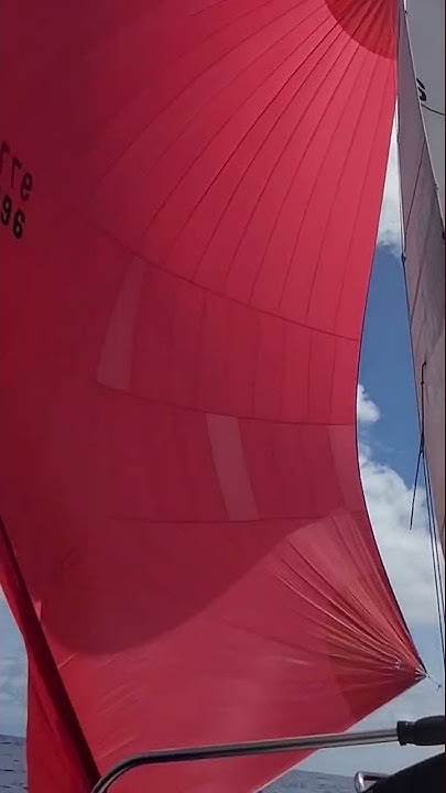 Flying Asymmetrical Spinnaker SOLO Sailing from Cali to Hawaii - YouTube