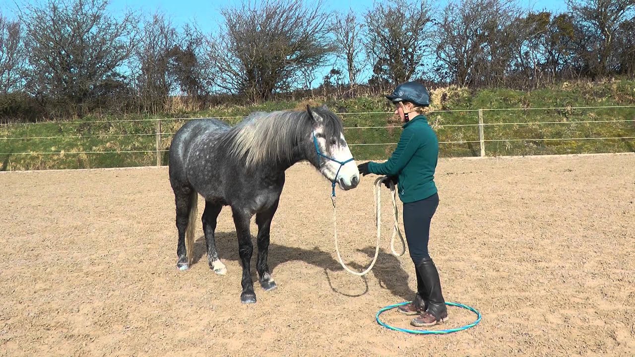 Emma Massingale – Handling and personal space - YouTube