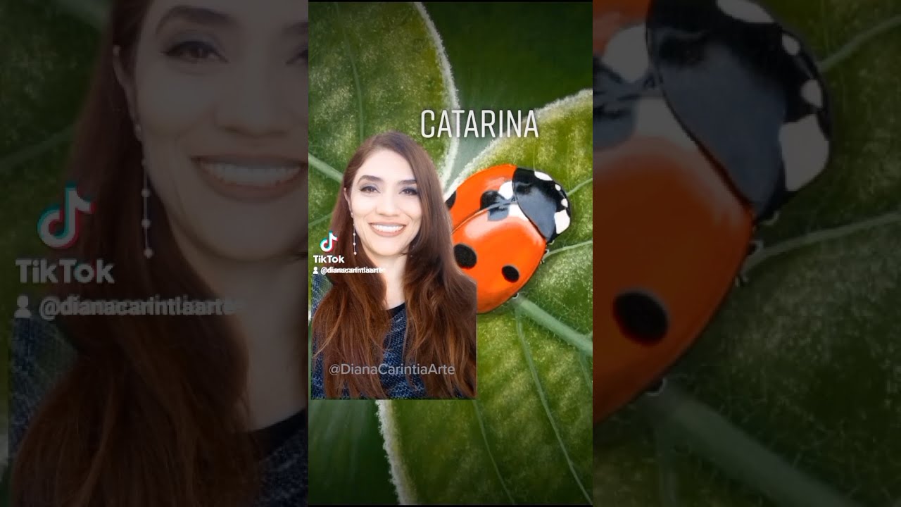 Cómo pintar una catarina con pintura acrílica para principiantes. - YouTube