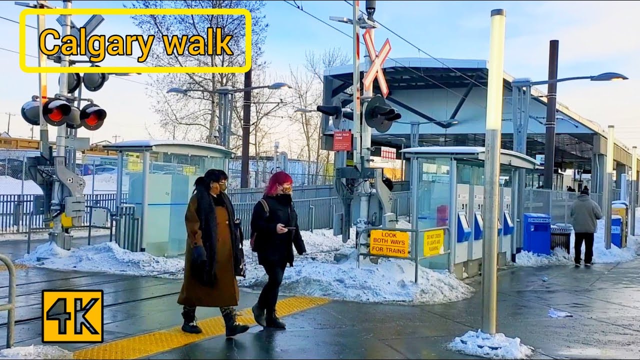 Calgary winter walk from Chinook Station to chinook Mall, Alberta ...