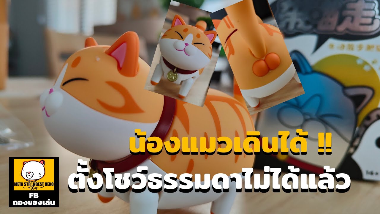 กล่องสุ่มแมวเดิน Electric kitten : ดองของเล่น ของดีเล้ย - YouTube