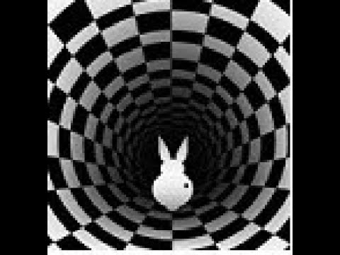 In to the Rabbit hole we go - YouTube