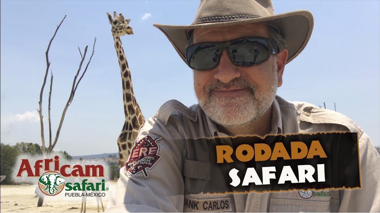 Rodando entre jirafas 🦒 🚴🏻‍♀️🚴🏻‍♂️en Africam Safari con Frank Carlos ...