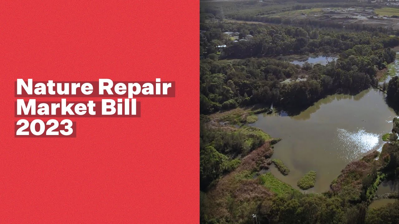 Nature Repair Market Bill 2023 - YouTube