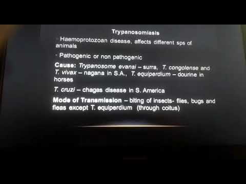 Hemoprotozoan disease, Sub. Medicine, Dr. parvinder, SDS College of Animal Sciences,Tohana