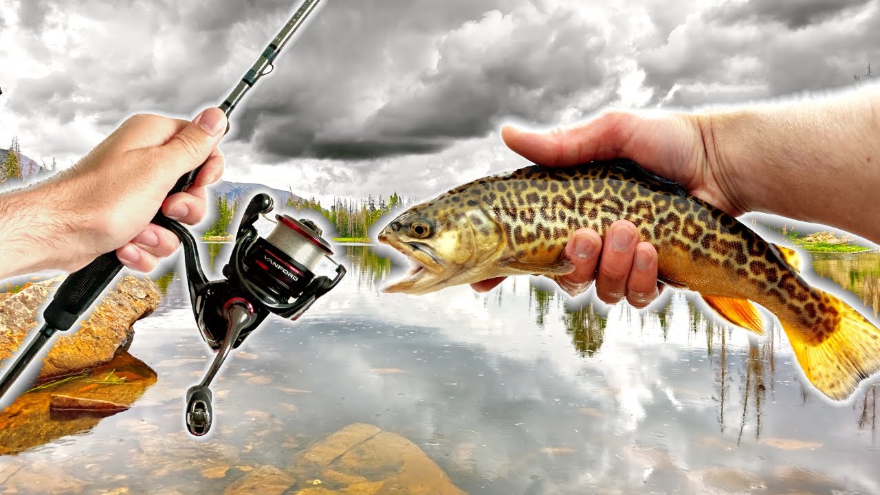 Utah Mountain Tiny Lake Fishing for Wild Trout (THUNDERSTORM) - YouTube