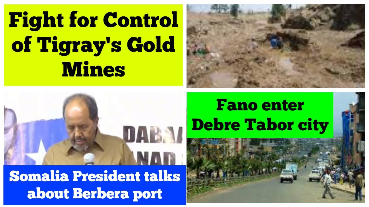 Fight for the Control of Tigray's Gold Mines | Fano Enter Debre Tabor ...