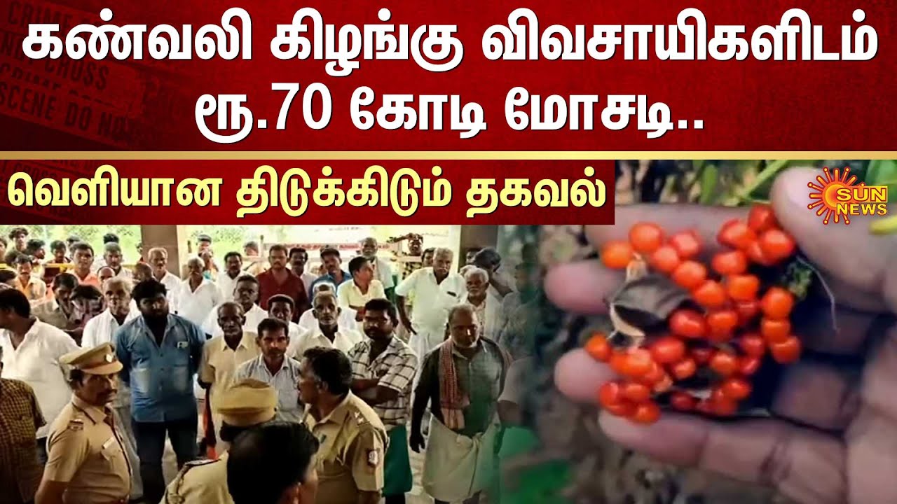 Dindigul | Kanvali kilangu Seed Fraud | Farmers | Agriculture | FIR ...