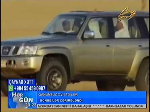 Qanunsuz ov - Space TV