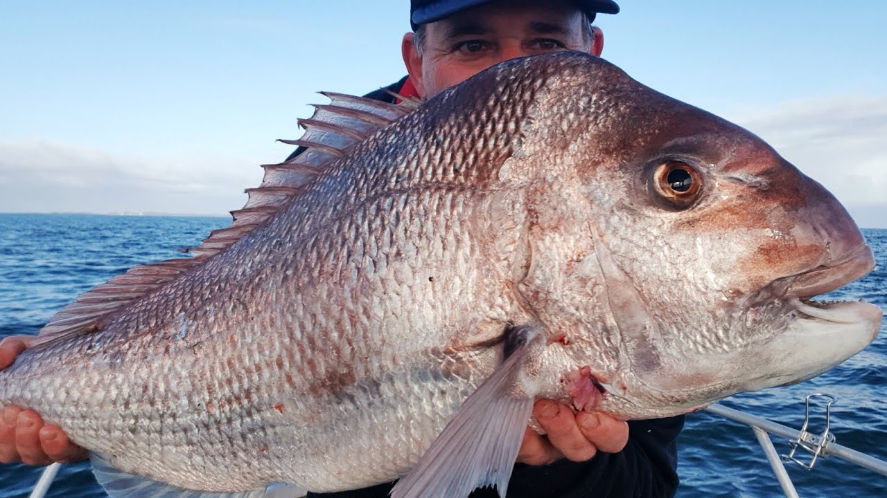 Cooking my First 22 lb Big Pink Snapper after Fishing - YouTube