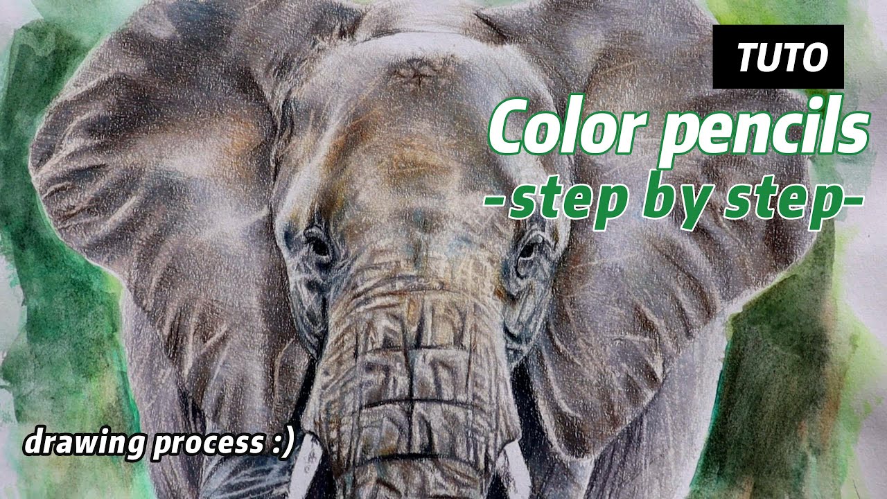 Easy tips to draw realism // COLOR PENCIL process - YouTube