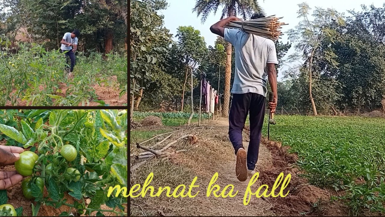 Mehnat ka fall dekhne laga... - YouTube