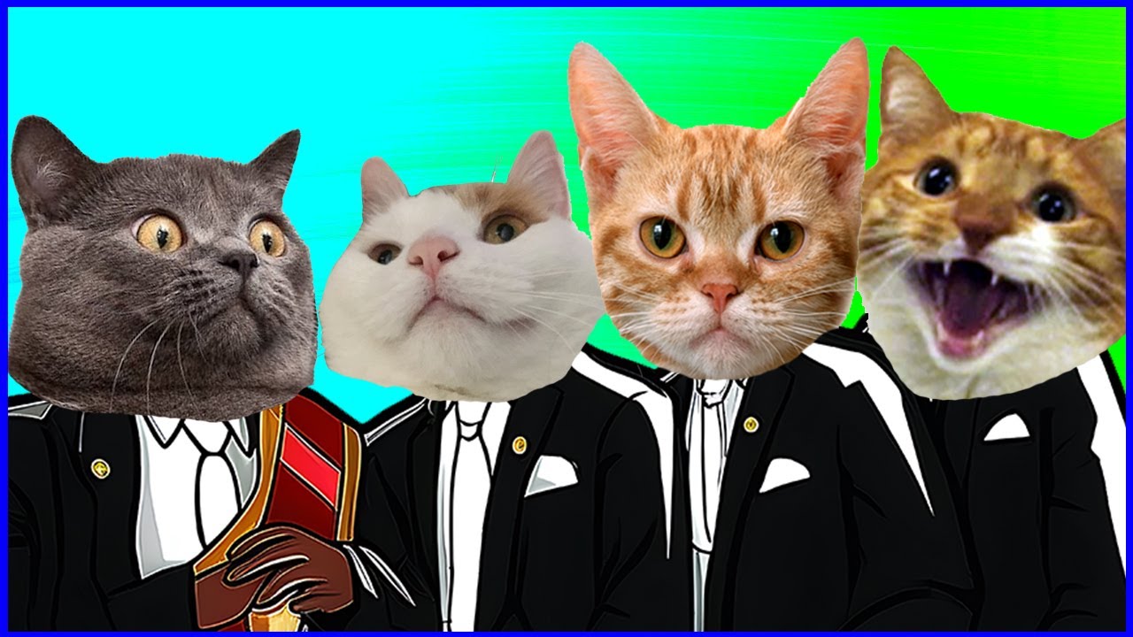 🤡 Funny Cats Pop Corn Dance - Coffin Dance Song (COVER) - Kodmiko - YouTube