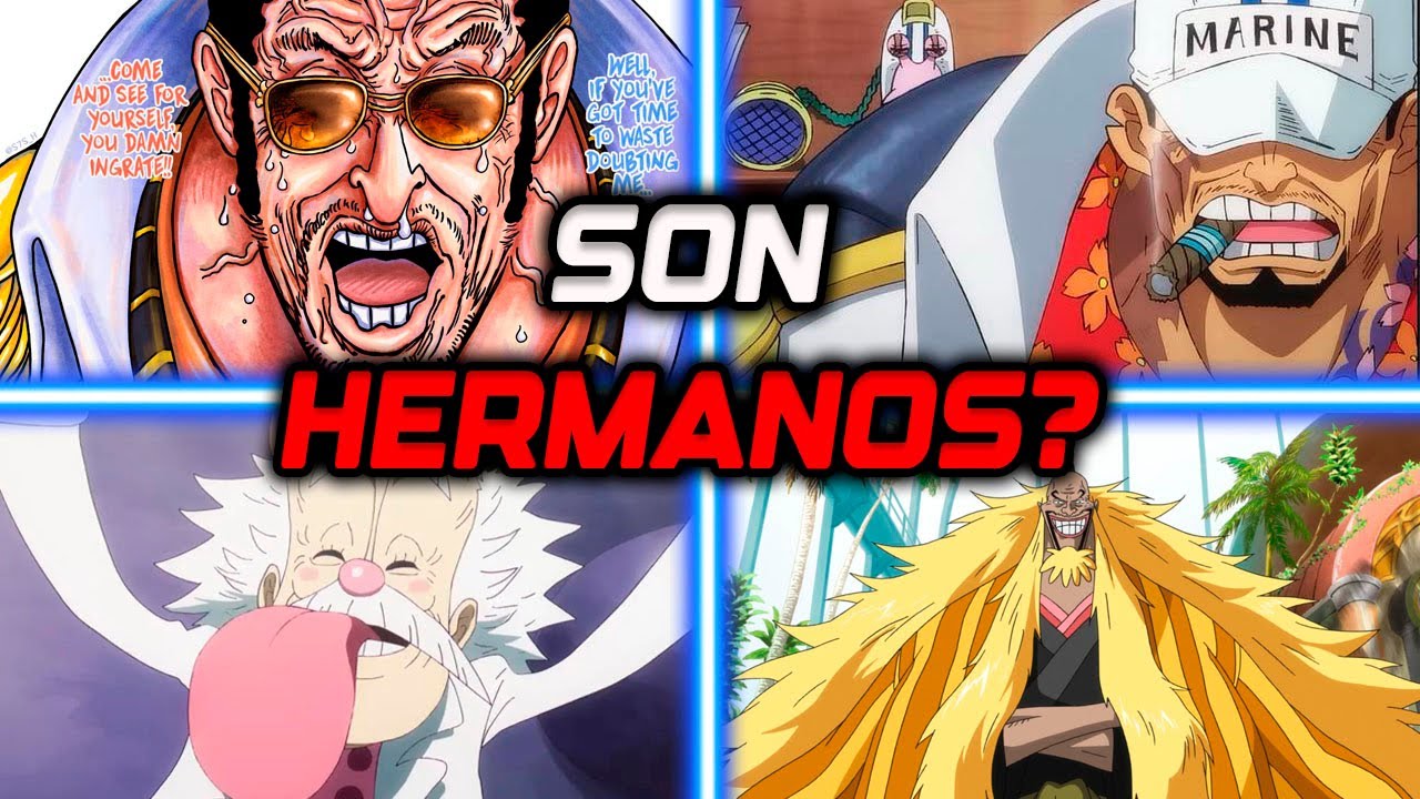 KIZARU Y AKAINU HERMANOS? UN NUEVO PERSONAJE APARECE |one piece manga ...