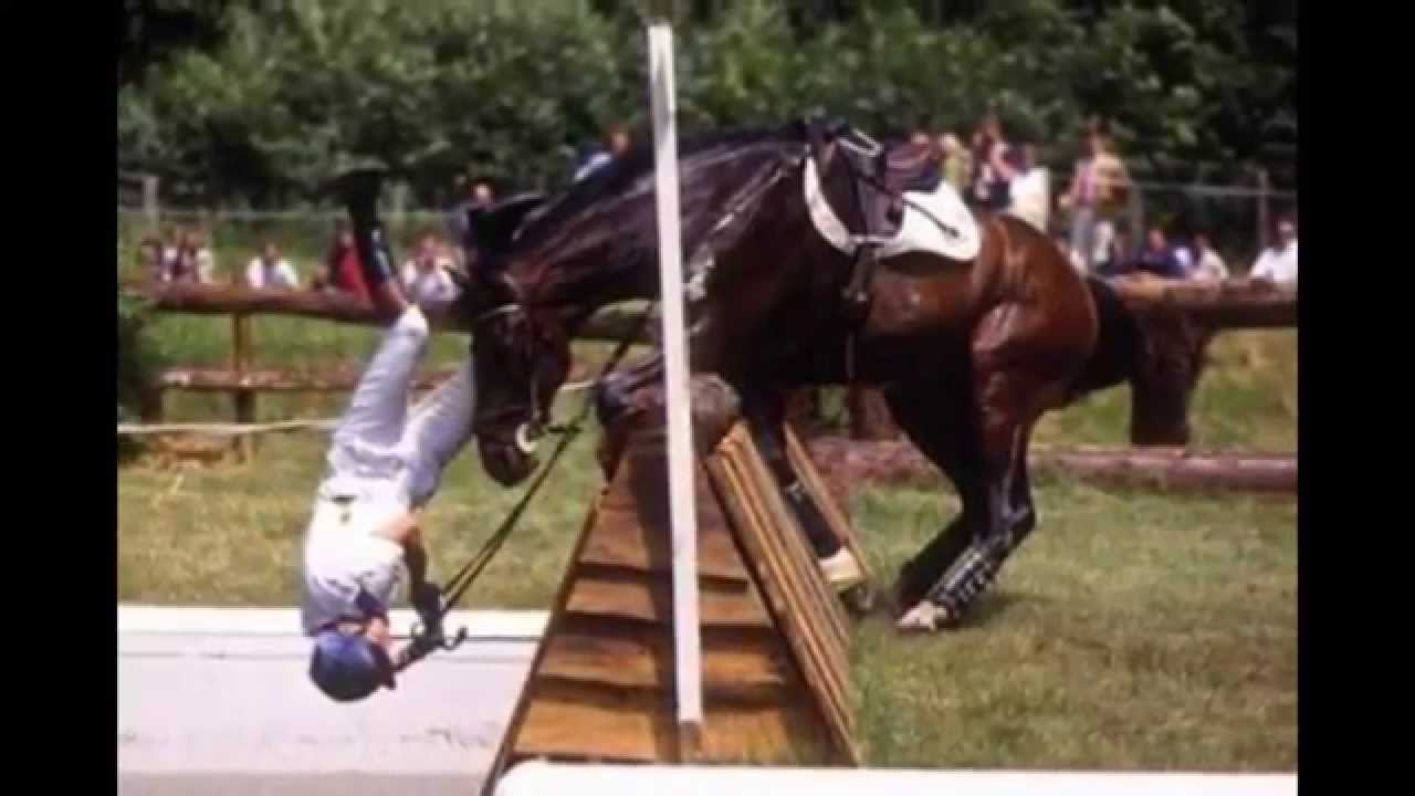Les plus belles complicité et chute a cheval - YouTube