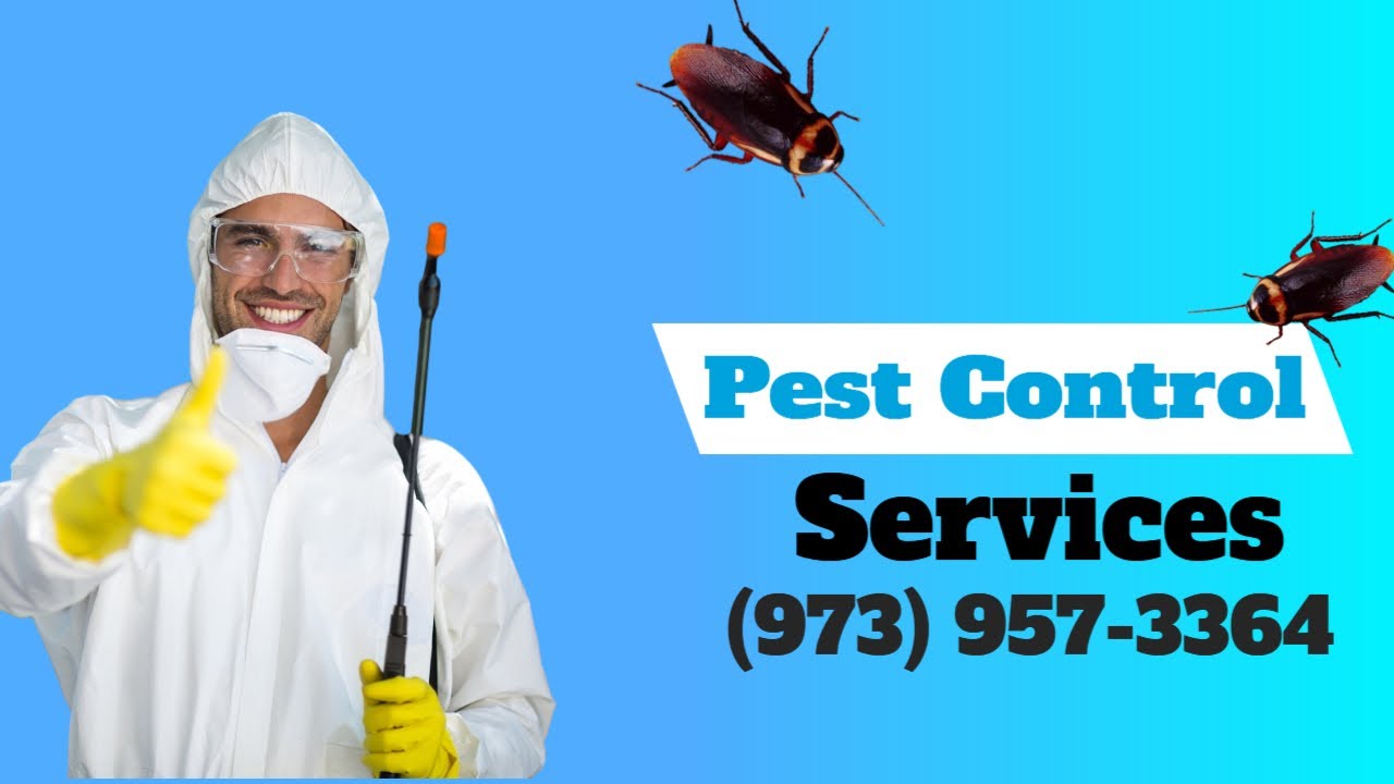 Pest Control Services West Orange NJ (973) 957-3364 - YouTube
