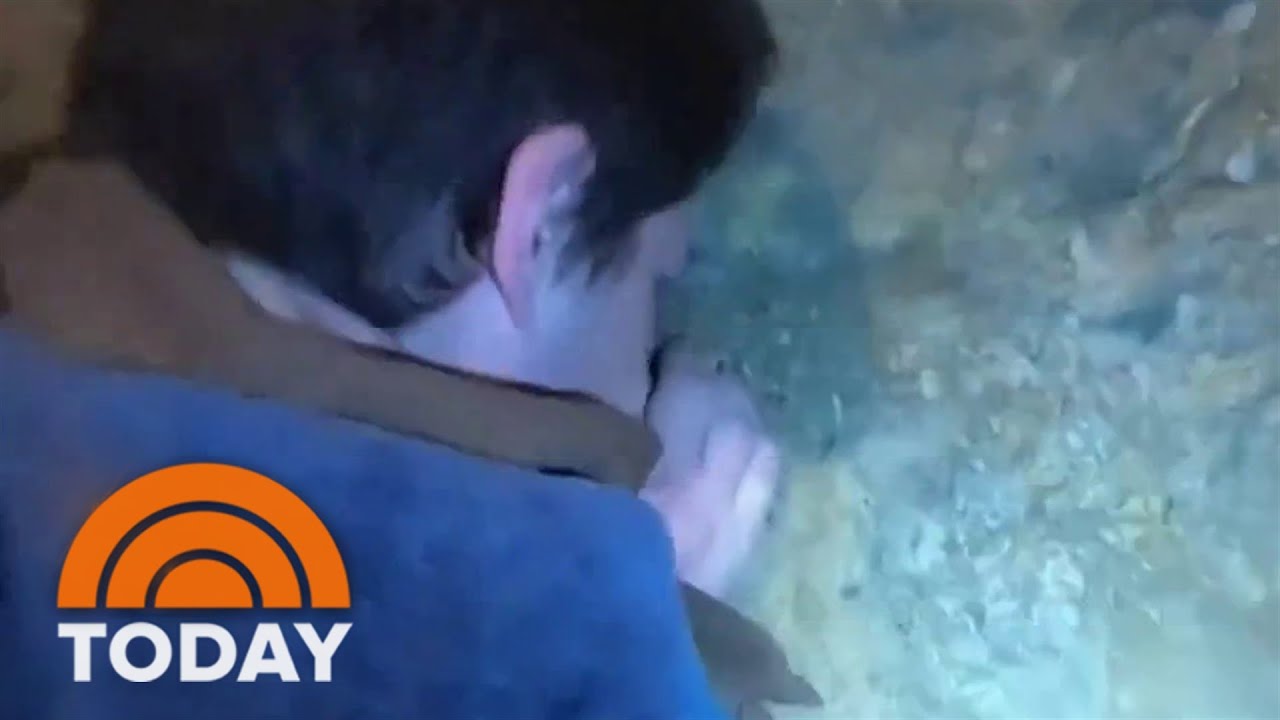 Watch: Hiker hanging from rock is rescued after falling off trail - YouTube