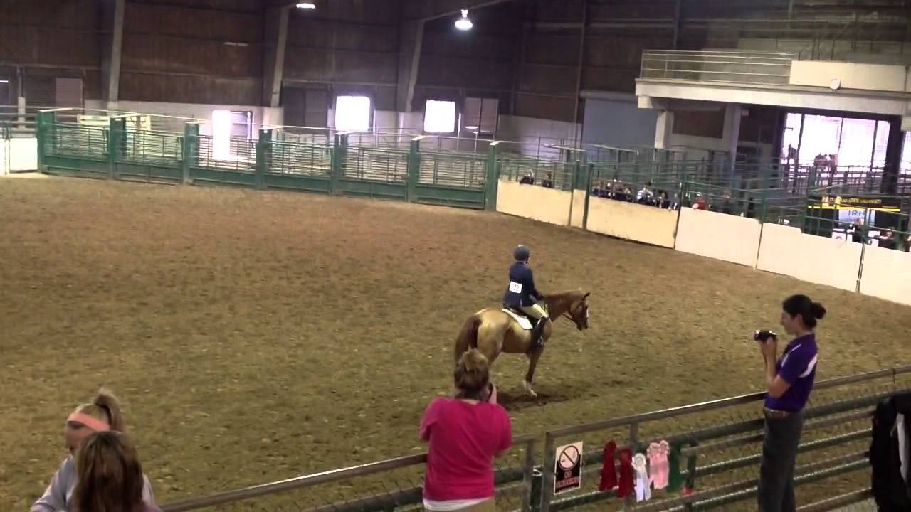 Amy Sattler & Courtney Poole Walk/Trot @ LSU 2/16/14 - YouTube
