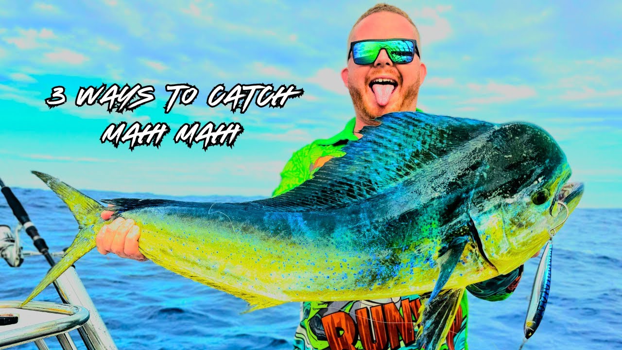 Metro FAD Dollie fun! | 3 ways to catch Mahi mahi/ dolphin fish! - YouTube