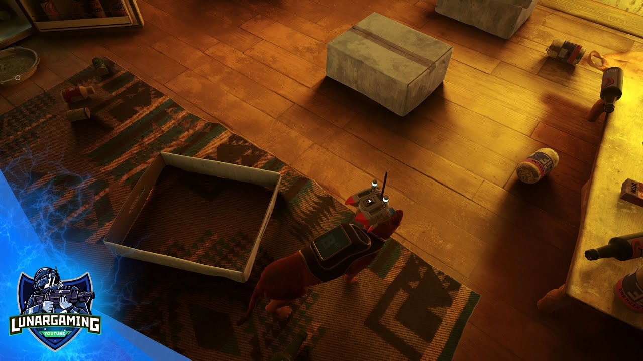 Stray - Zbaltazar's Notebook Location - YouTube