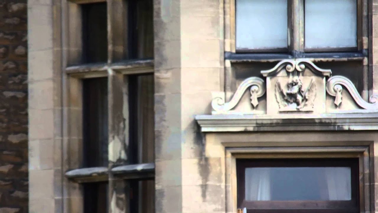 Olympus Stylus SH-50 Test Video With Zoom