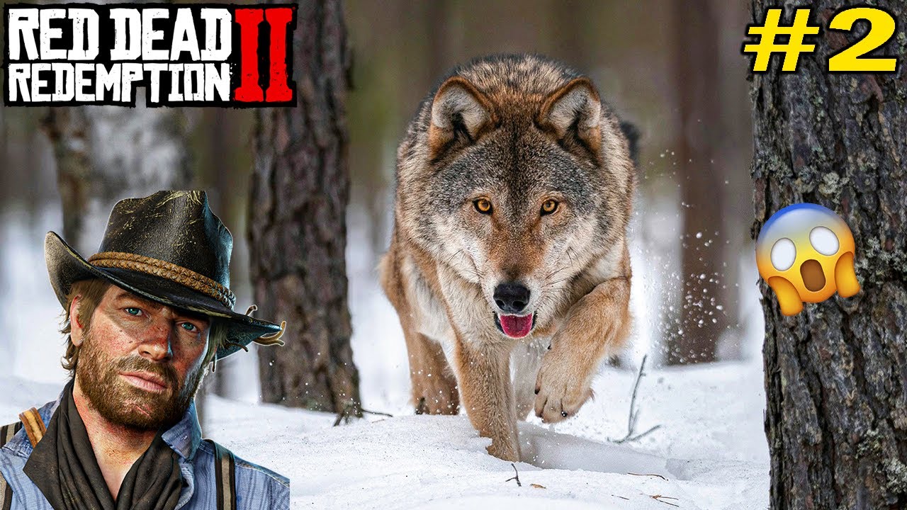 CAN WE SAVE FROM WOLF?😱😰| RED DEAD REDEMPTION 2 GAMEPLAY | RDR2 ...