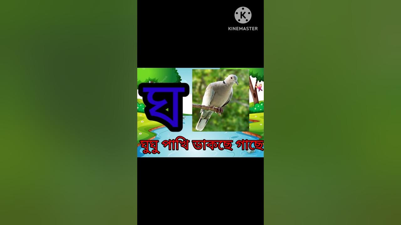 How to write Bangla Banjonborno #Shorts #viral - YouTube