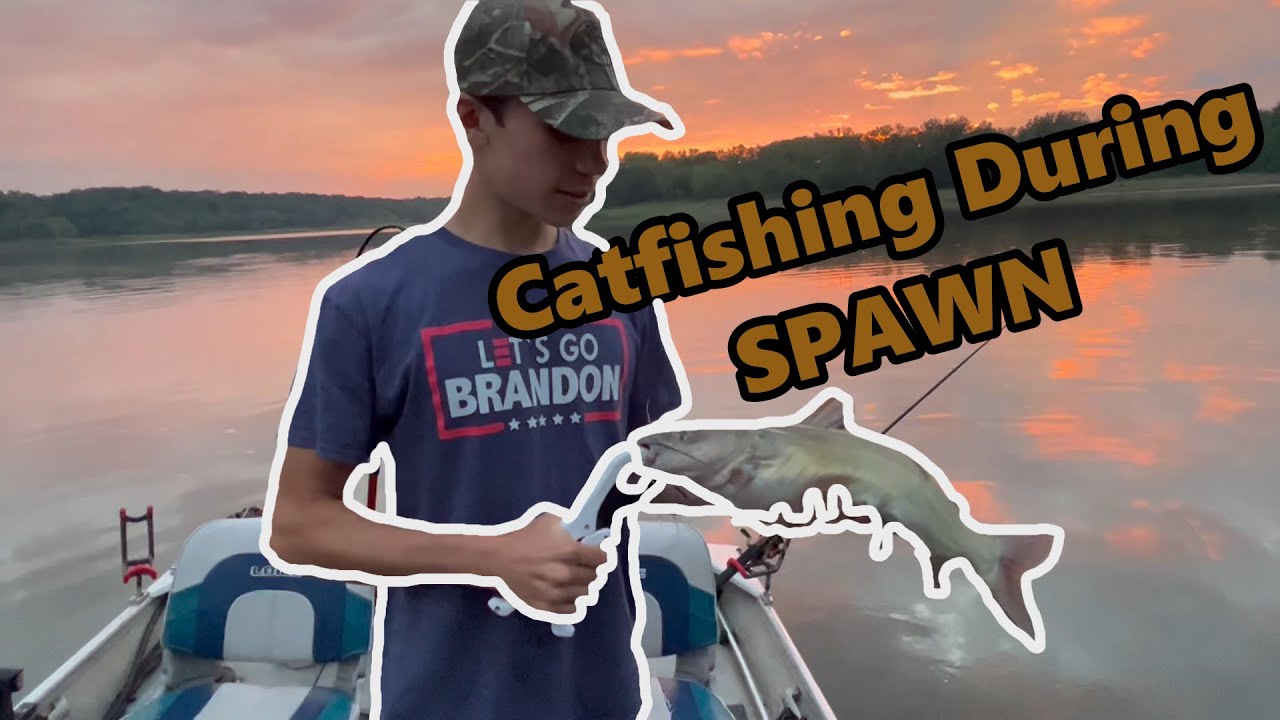 Catching Channel catfish During Spawn - YouTube
