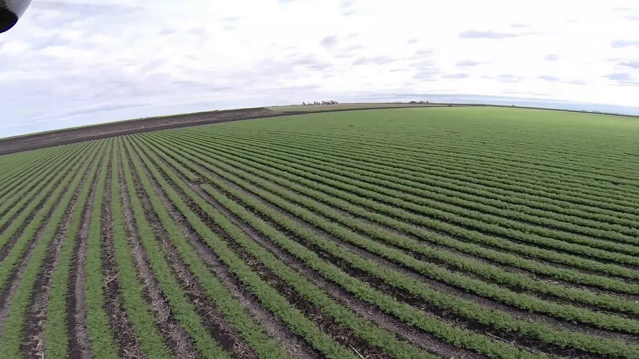 Swainston Farming Company - YouTube