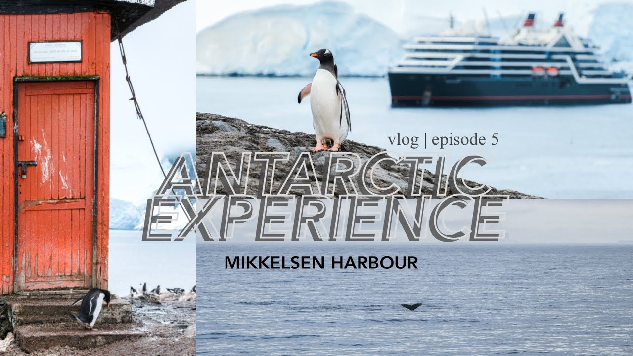 ANTARCTIC EXPERIENCE VLOG 🐧 episode 5 | Mikkelsen Harbour - YouTube