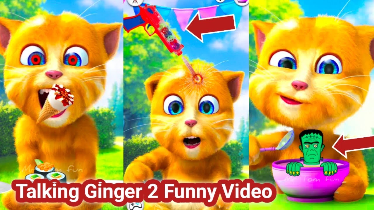 Talking Ginger 2 Funny Video 🙀🙊🤓 | talking ginger funny videos ...