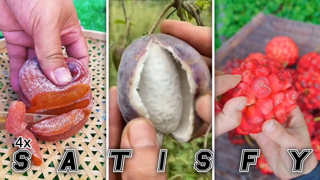injoy the satisfy video in fruit set aside video @4x_SATISFY - YouTube