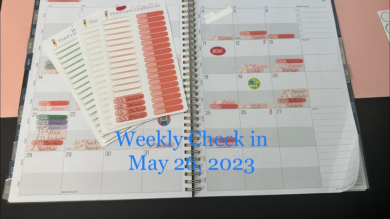 WEEK 4 CHECK IN |MAY 2023|spendingmoney #trackingexpenses #expenses # ...