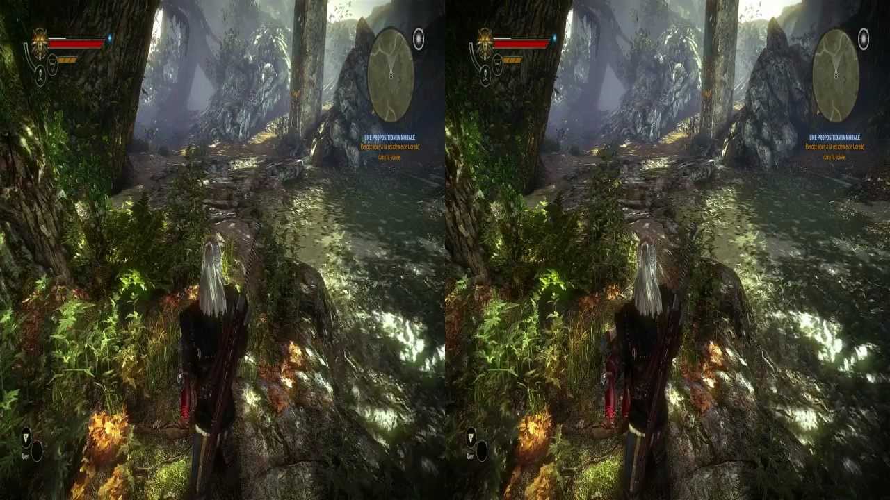 The Witcher 2 3D Stereoscopic gameplay : Exploring Flotsam Forest - YouTube