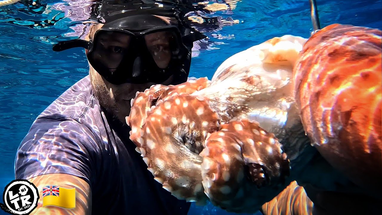 Catch, Clean, And Ready For Cooking! Spearfishing With Dive Mate From Over A Decade Ago! - YouTube