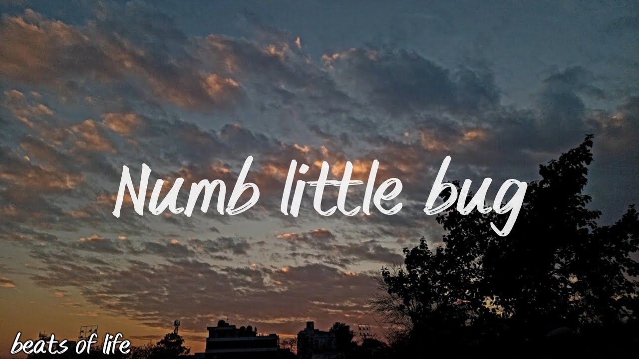 Em beihold - Numb Little Bug (Lyrics) [HD] - YouTube