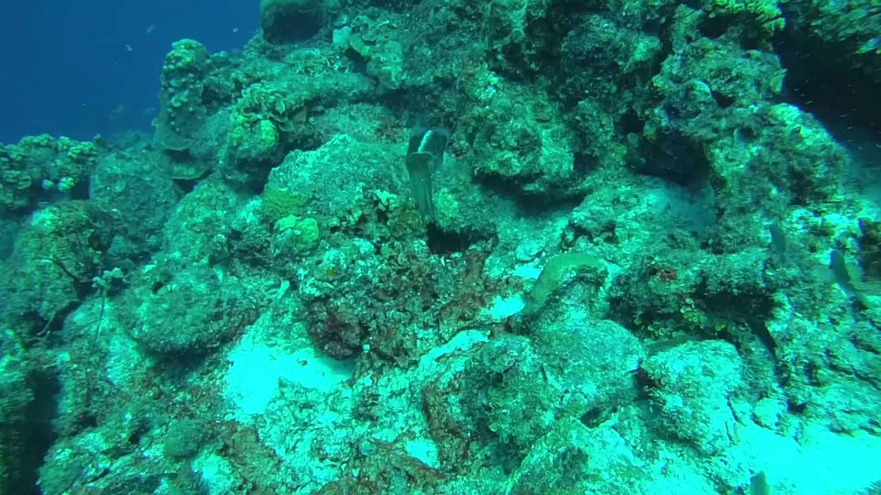 Directors Bay & Tugboat - YouTube