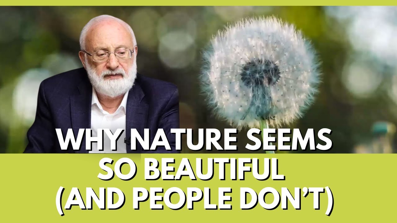 Why Nature Seems So Beautiful (and People Don’t) - YouTube
