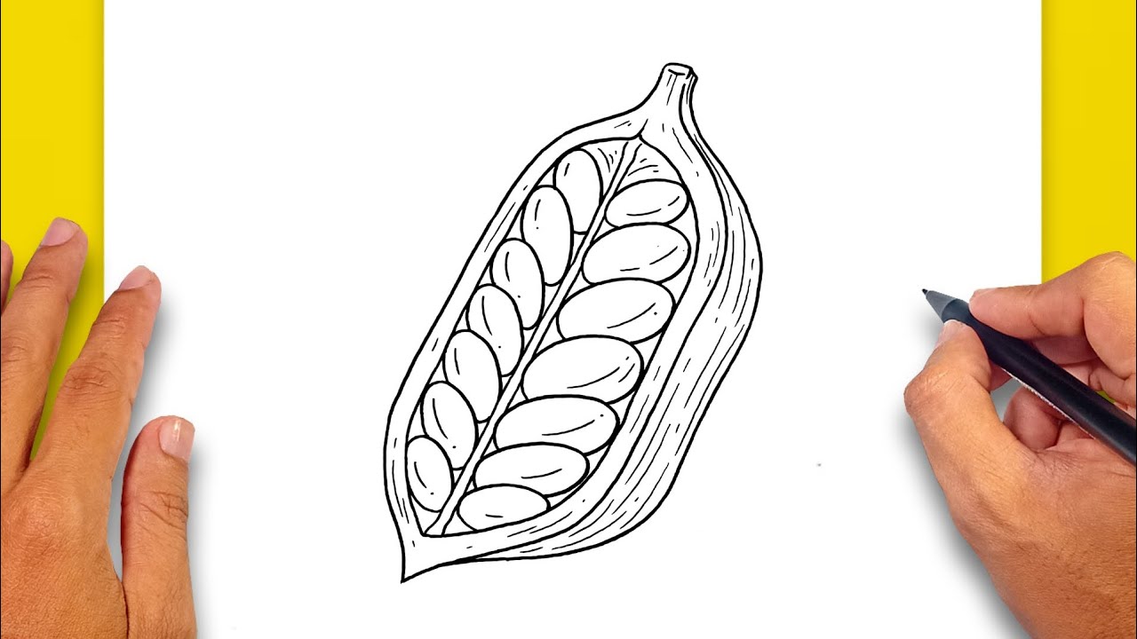 How to draw Sesame Seed - YouTube