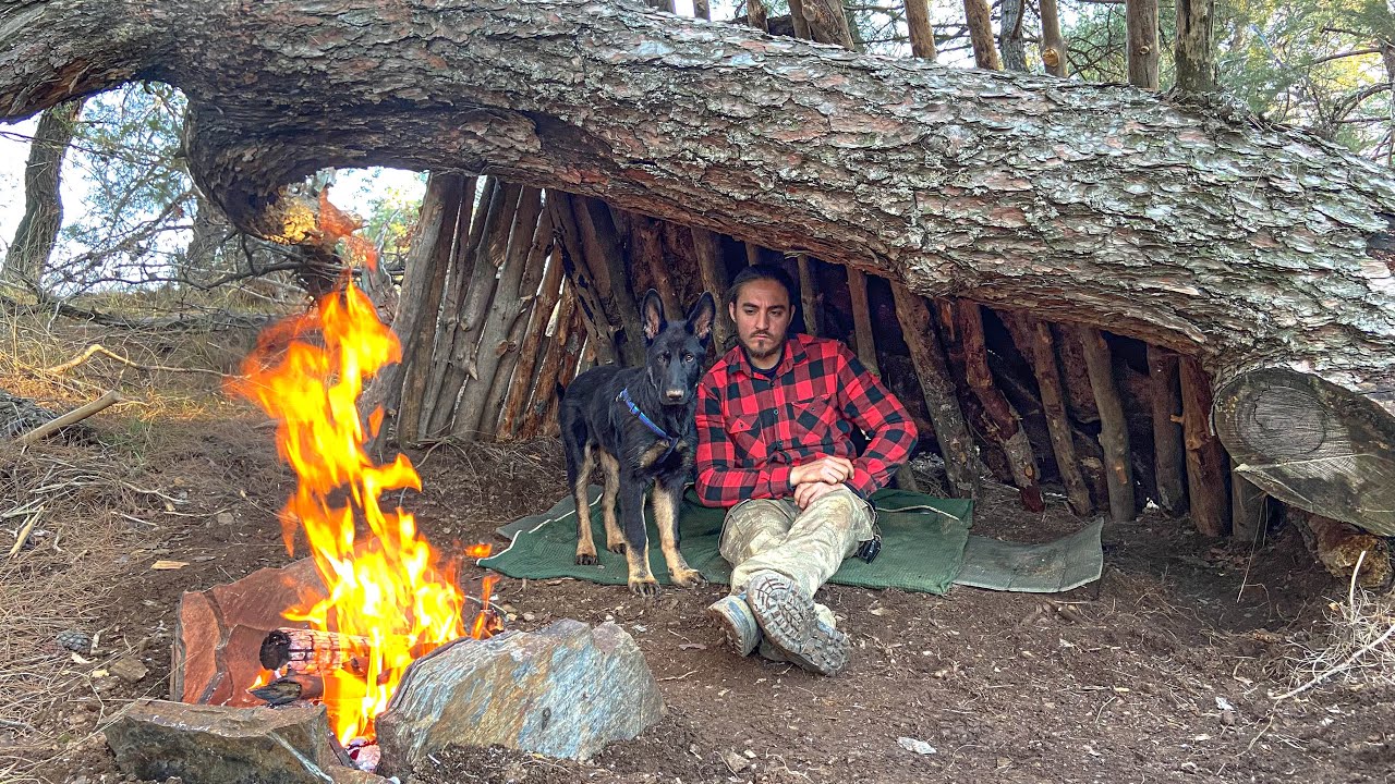 I Turned a Fallen Tree into a Survival Shelter - Bushcraft at Forest ...