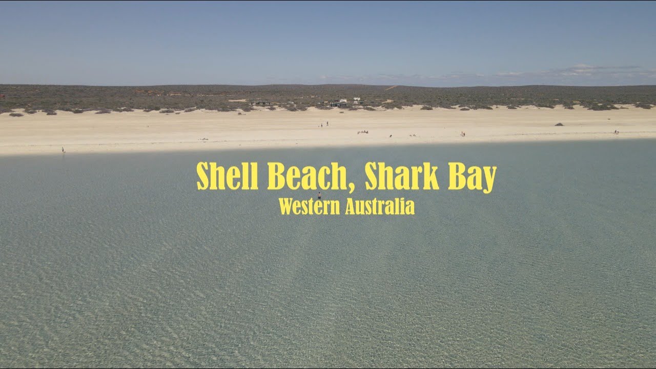 Shell Beach, Shark Bay - YouTube