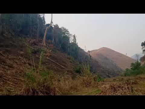 luaj teb ntov ntoo os - YouTube