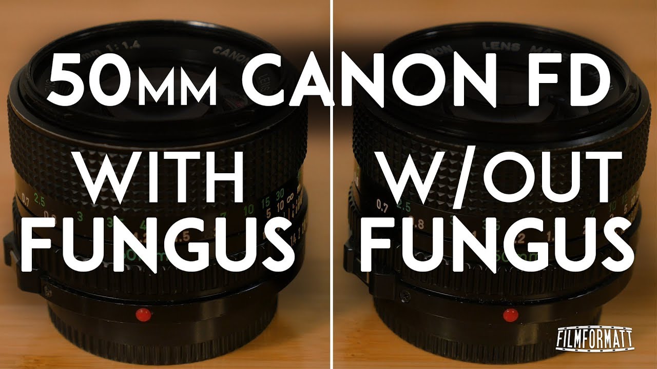 Comparing a Lens with Fungus to One Without - YouTube