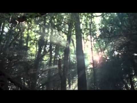 This is War - Merlin (30 Seconds to Mars)