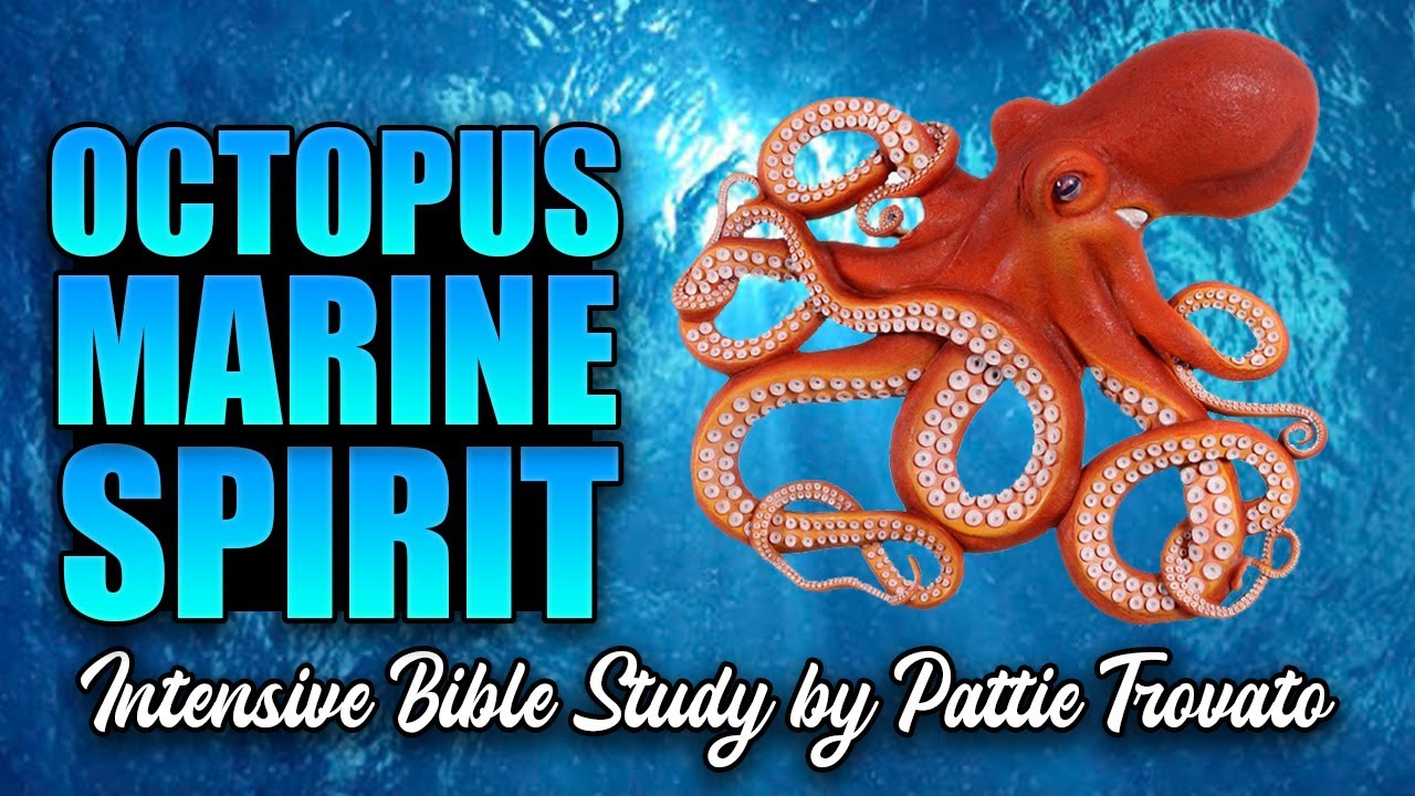 Octopus (Marine Spirit) - YouTube