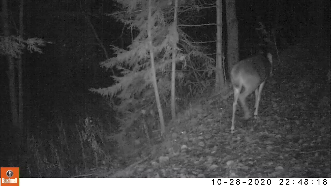 Kids lagging behind - YouTube