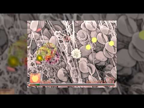 Versus X Studio: 2019